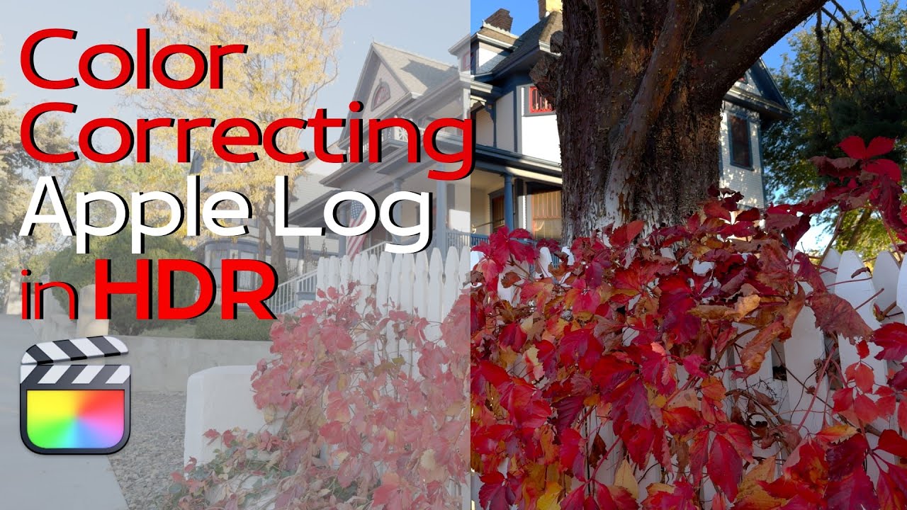 עיבוד צבע ProRes Log - מגזין AV